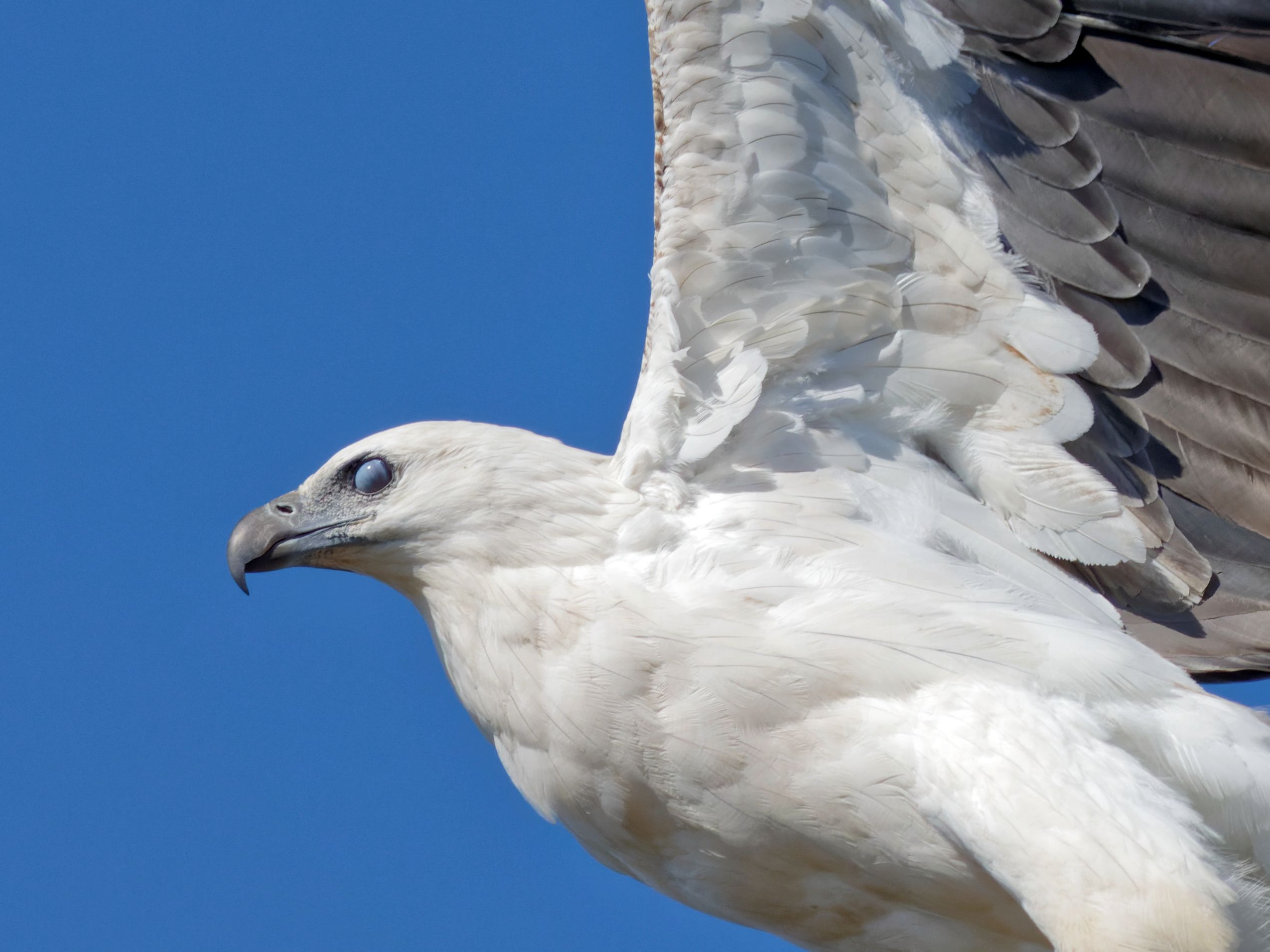 Guide to Sharp Images