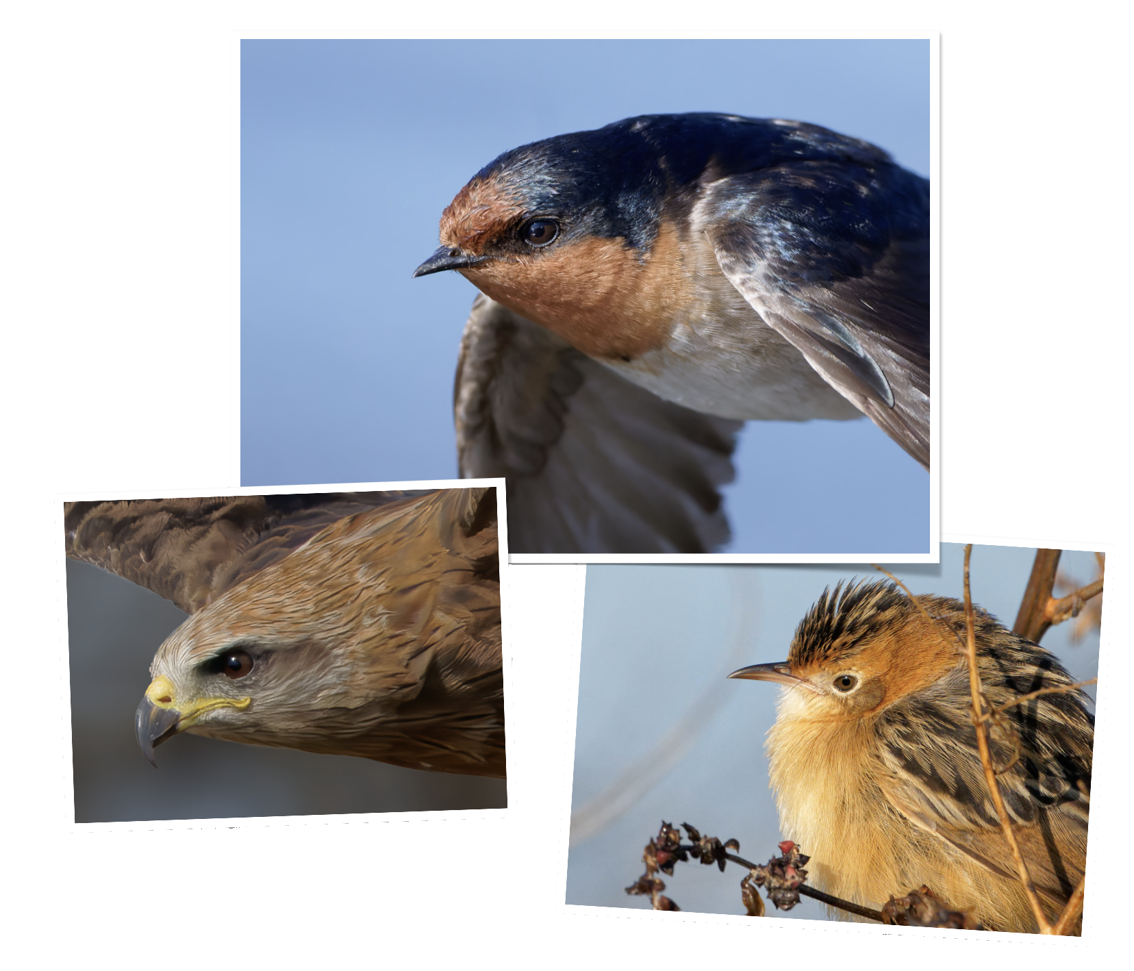 Guide to Sharp Images